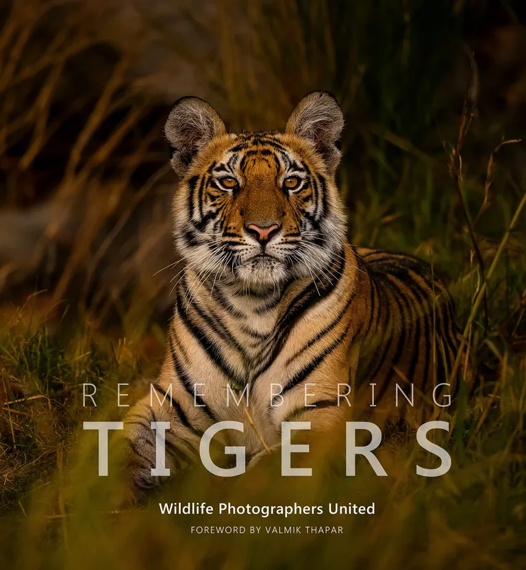 Remembering Wildlife | Conservation Photography Books Raising £1.26M ...